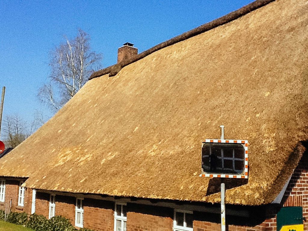 Neu gedecktes Reetdach - Reetdachdecker Junker